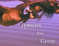 Lessons from geese : Multi Media HRD Pvt. Ltd.