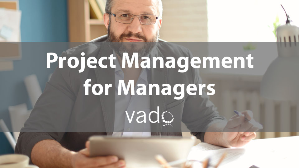Project Management for Managers : Multi Media HRD Pvt. Ltd.